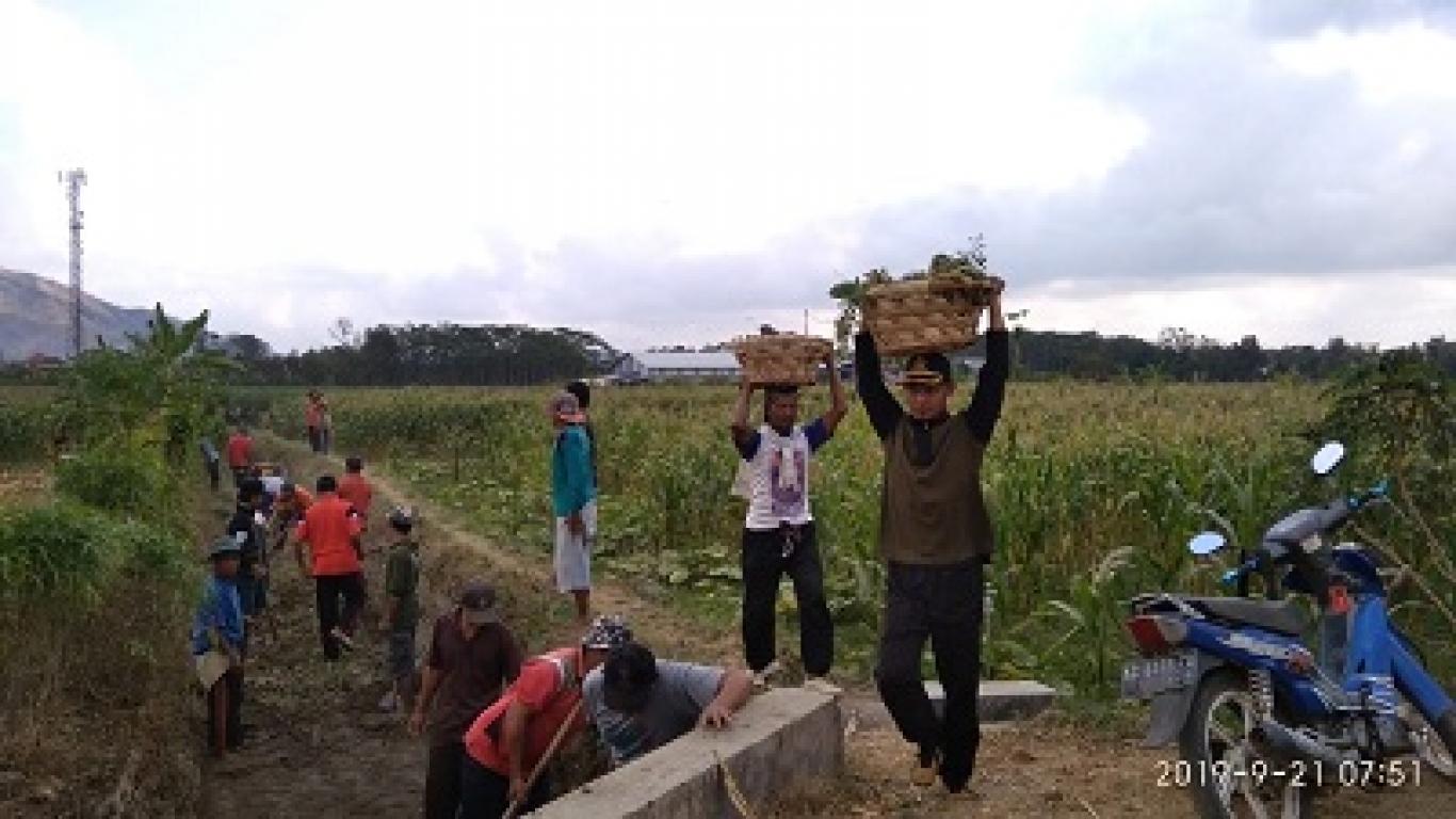 World Cleans Day Ala Desa Kamulan. Membersihkan Irigasi Persawahan ...